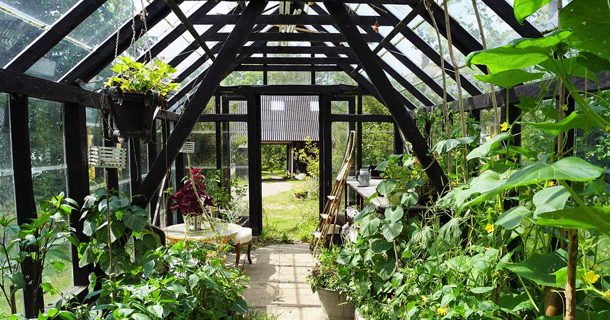 How to Choose the Right Greenhouse Flooring | Gardener’s Path