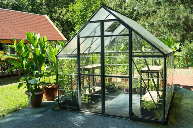 How to Choose the Right Greenhouse Flooring | Gardener’s Path