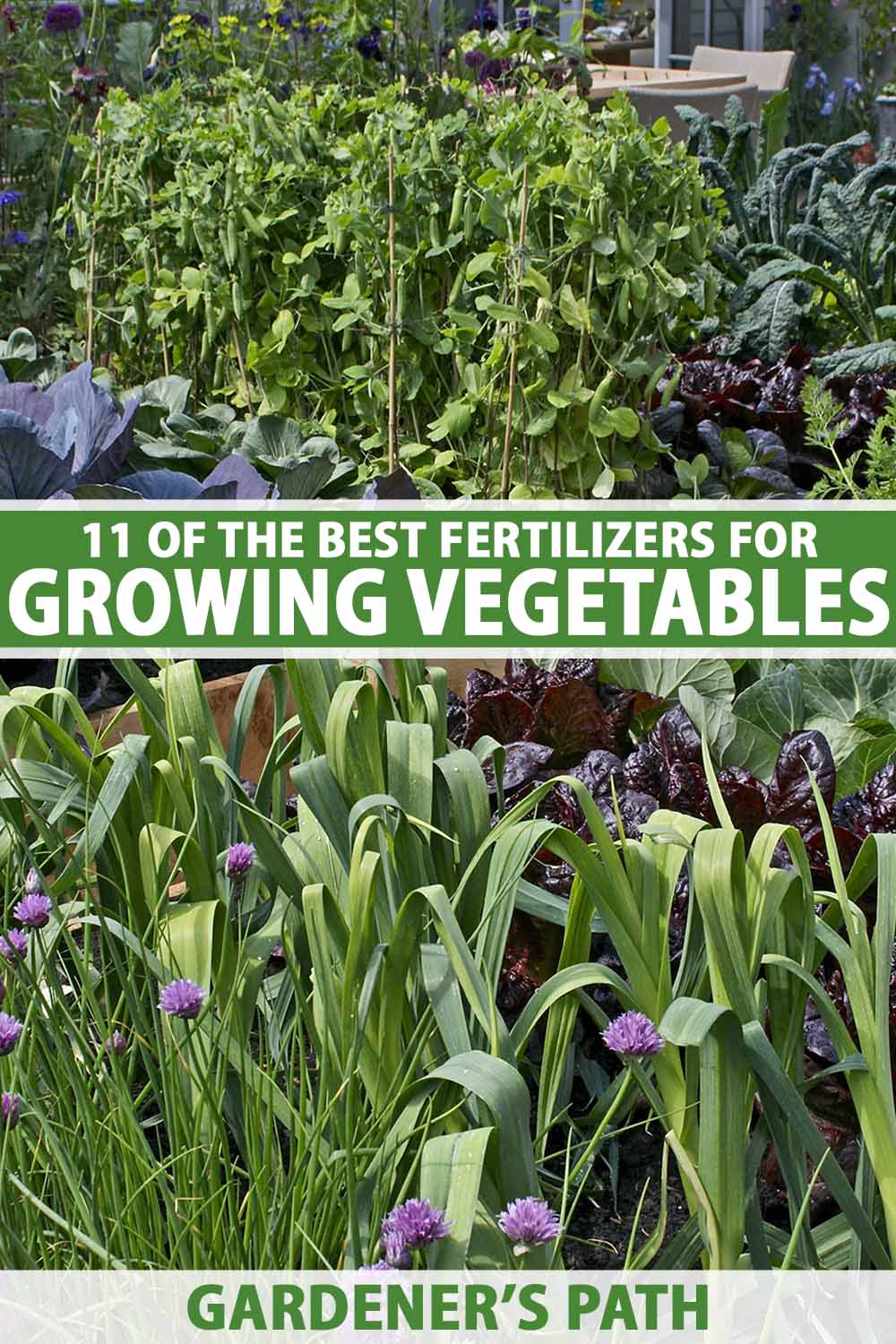 11 of the Best Fertilizers for Growing Vegetables | Gardener’s Path